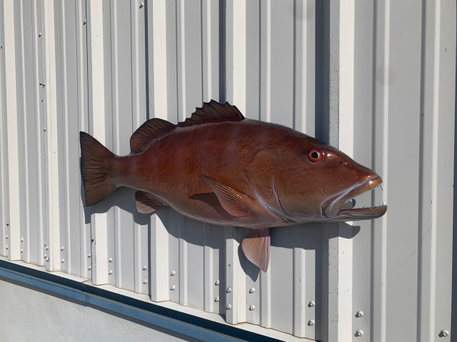 Mount This 42" Cubera Snapper Half Mount Fish Replica - AMIT Retail