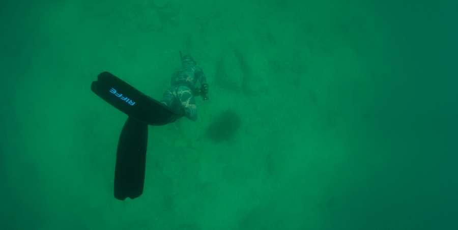 Riffe Descender Long Blade Plastic Fins (Set) 40/41 - AMIT Retail