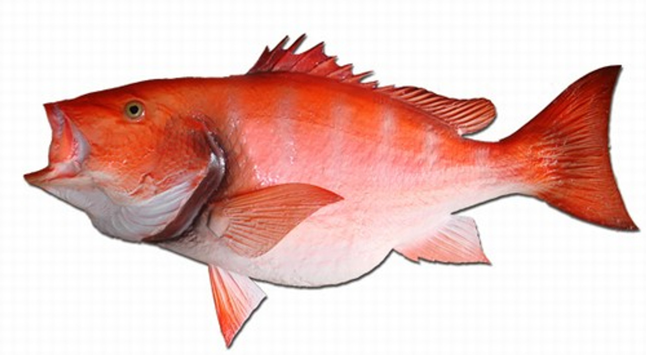 Mount This 39" Snapper Red Half Mount Fish Replica - AMIT Retail