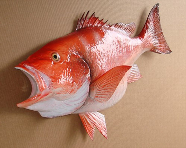 Mount This 39" Snapper Red Half Mount Fish Replica - AMIT Retail